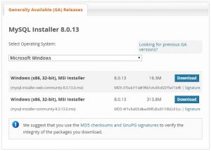 MySQL Community Editionのインストールと初期設定 – マゴトログ シュミニイキル
