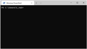 Windows TerminalのPowerShellタブをWindows PowerShell風にカスタマイズ – マゴトログ シュミニイキル